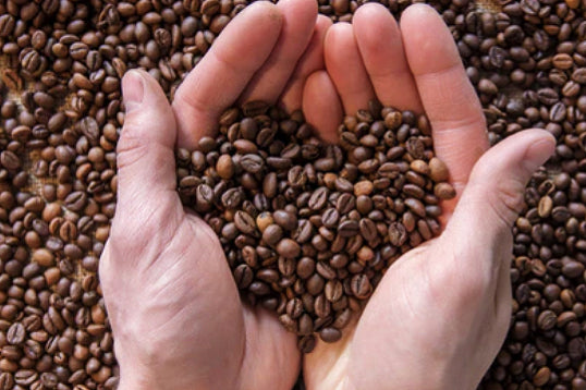 Freshly Roasted Coffee vs. Regular Coffee - What's the difference ...