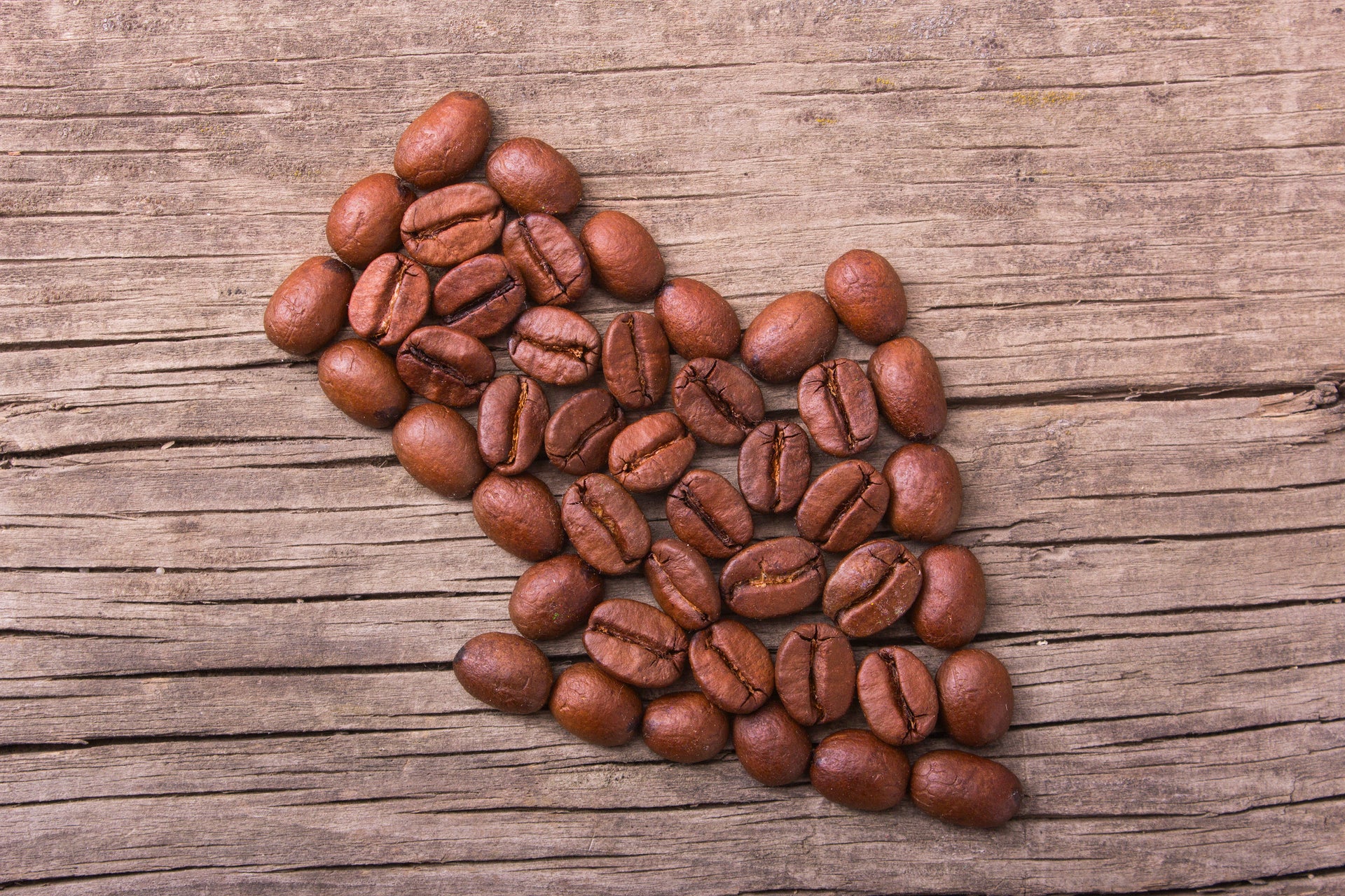 Enzyme Fermented Coffee 16oz (454g) – Dayes Coffee