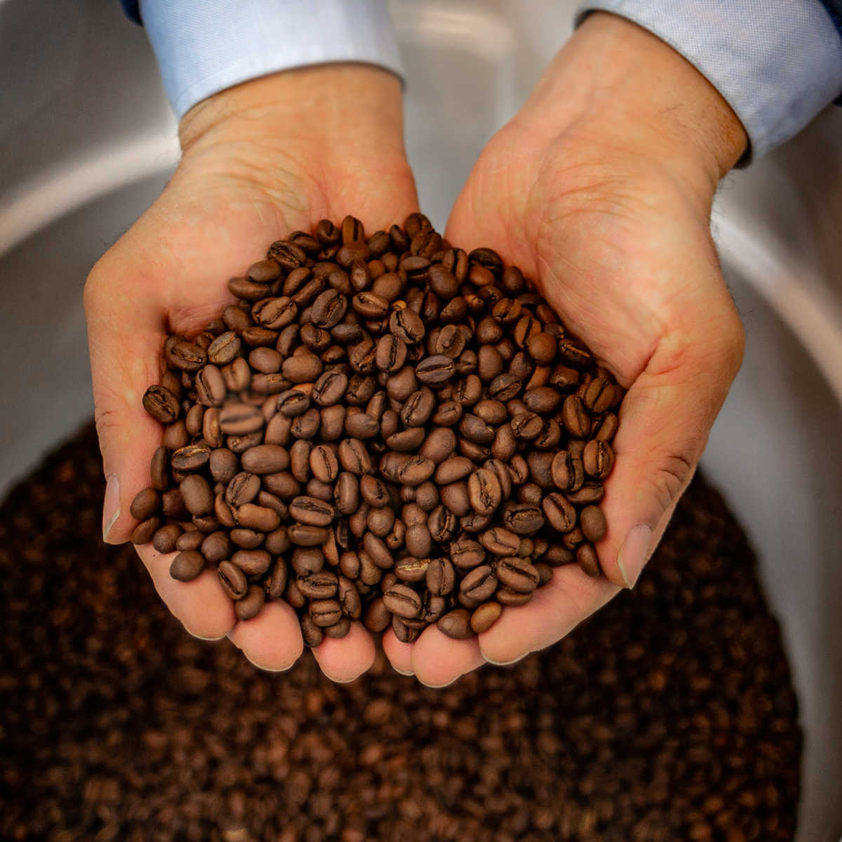 Dayes Coffee Roasters