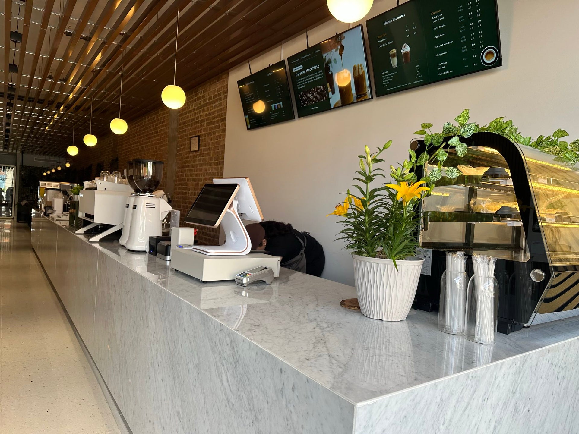 Enzyme Fermented Coffee 16oz (454g) – Dayes Coffee